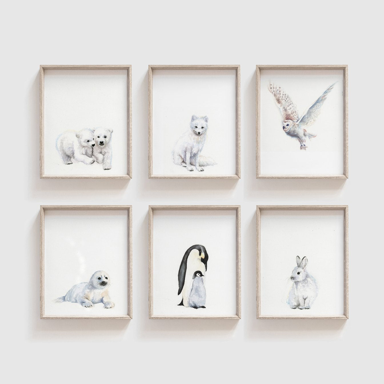 Arctic Animals – Tabitha Paige