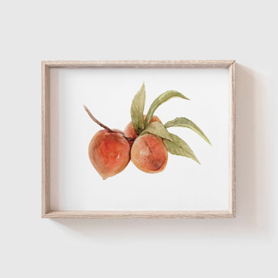 Peaches Art Print | Made in the USA | Fox Hollow Studios – Tabitha Paige