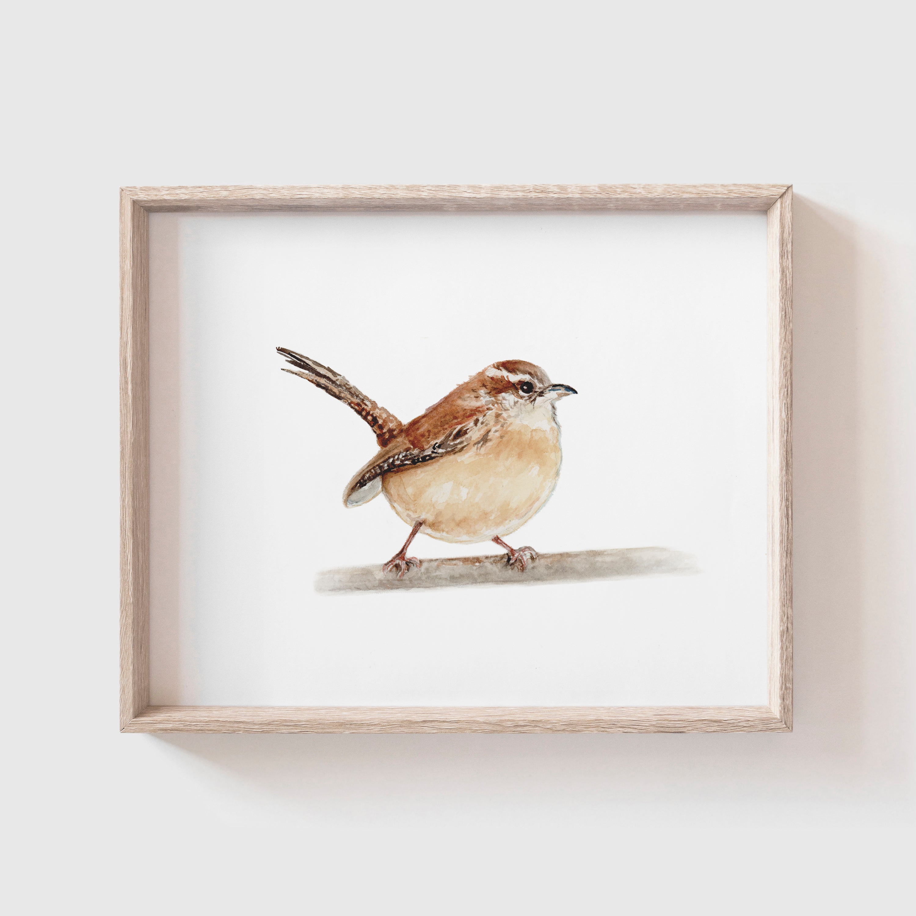 Wren Art Print | Made in the USA | Fox Hollow Studios