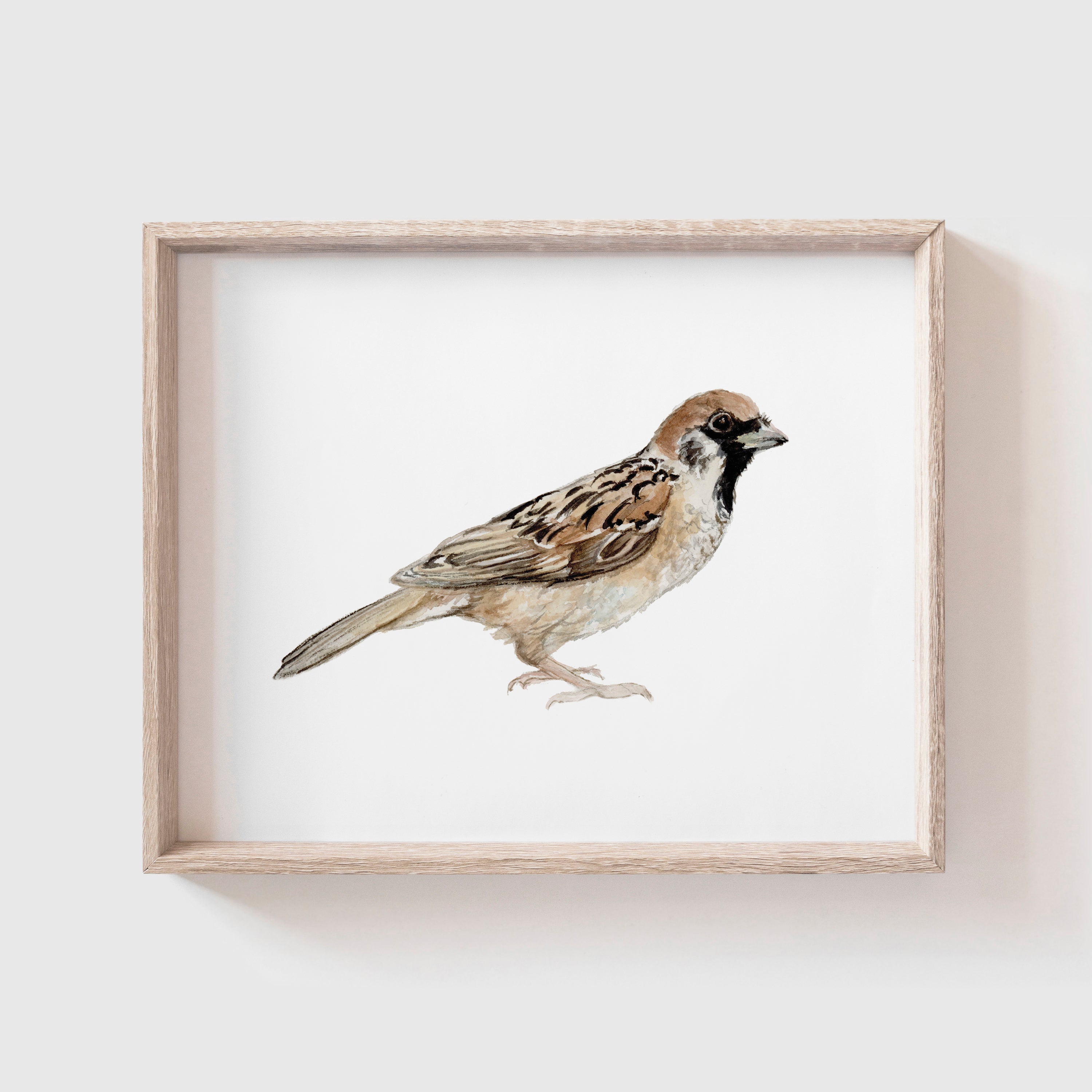 Sparrow Art Print | Made in the USA | Fox Hollow Studios – Tabitha Paige