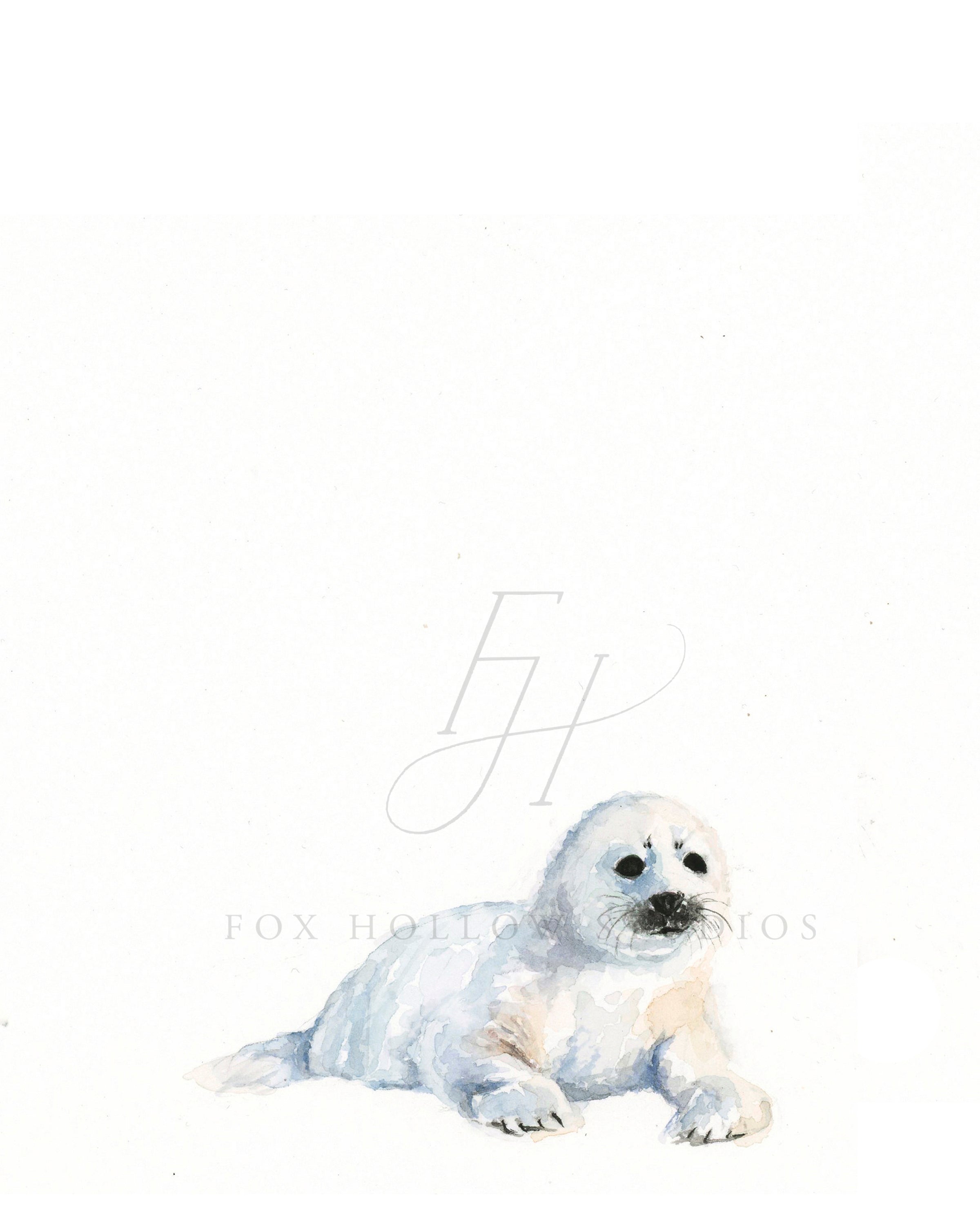 Arctic Seal Art Print | Made in the USA | Fox Hollow Studios – Tabitha ...